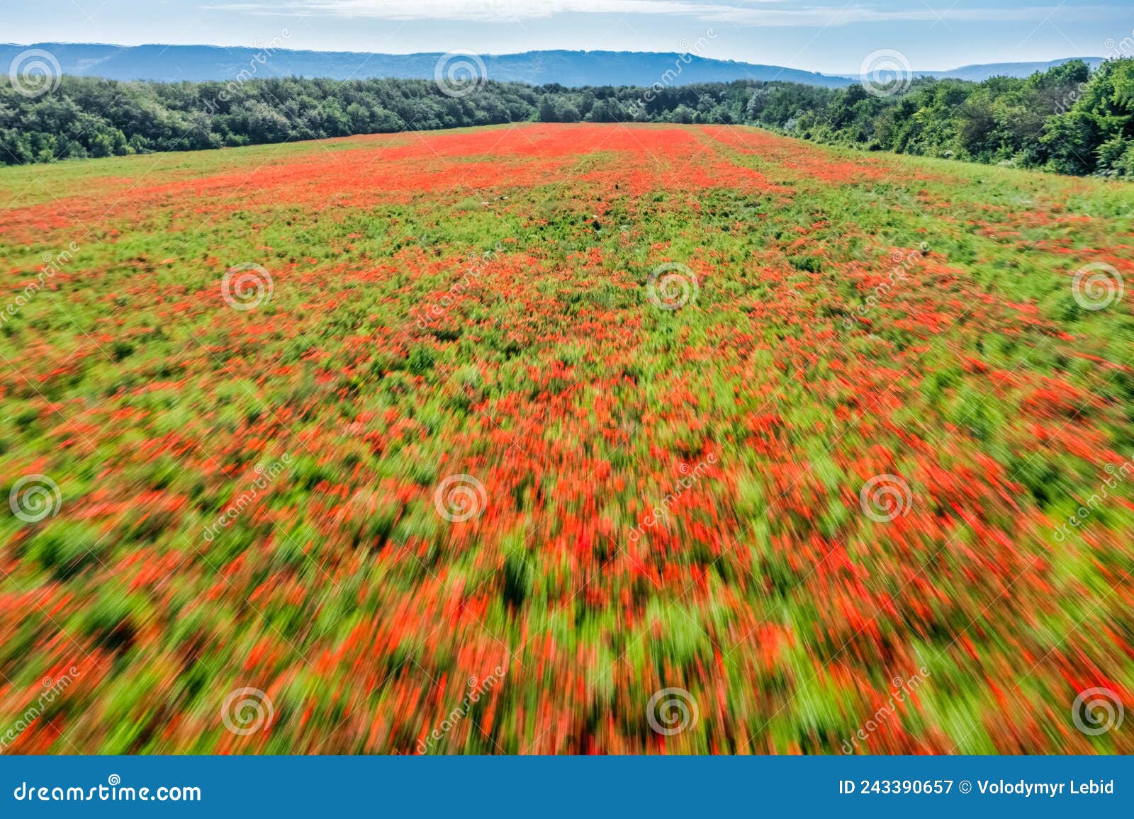 Aerial View of Red Poppy Field, Stock Image - Image of green, fresh ...