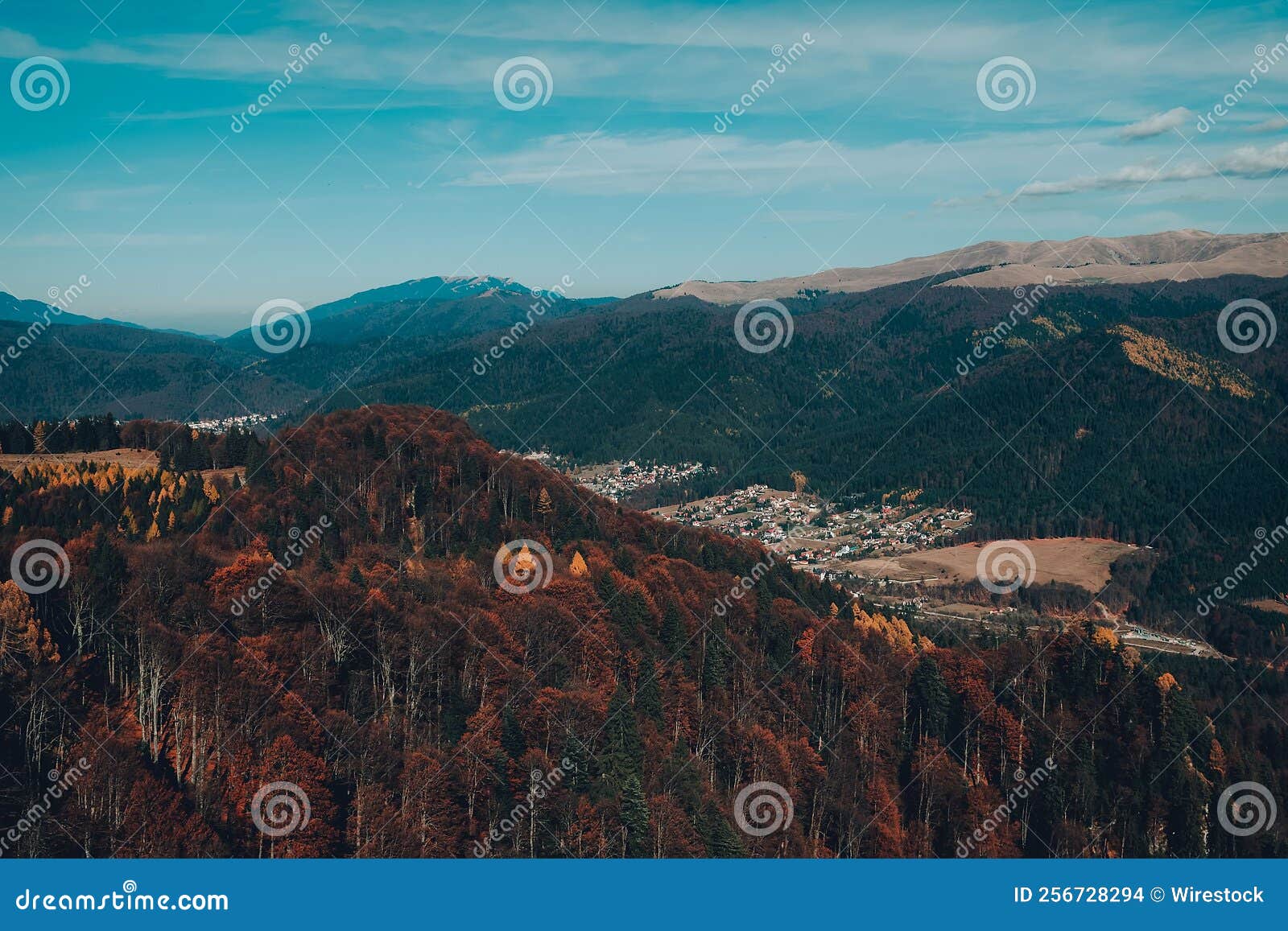 Aerial View of Red Trees in the Mountain Stock Photo - Image of trees ...