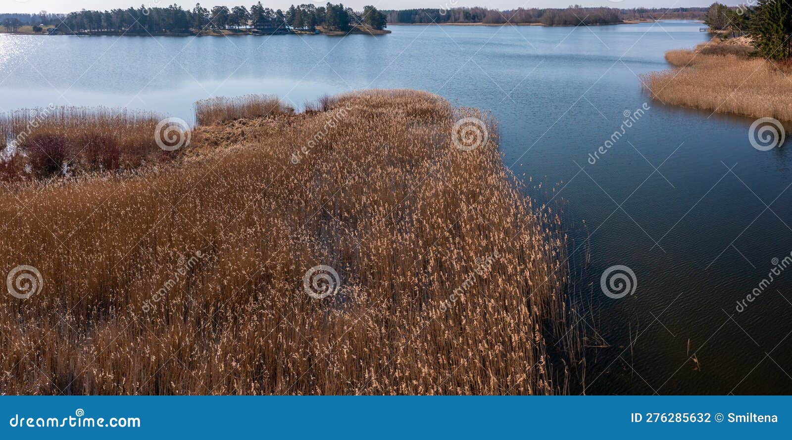 Aerial View of Reed Beds on the Lake in Spring Stock Photo - Image of ...