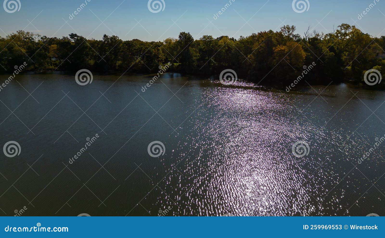 Aerial View of a Reflective Pond in a Sunny Park Stock Image - Image of ...