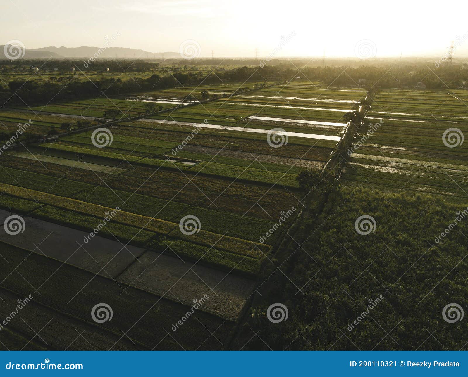 Aerial View of Rice Field with Sun Rays in Indonesia Stock Image ...
