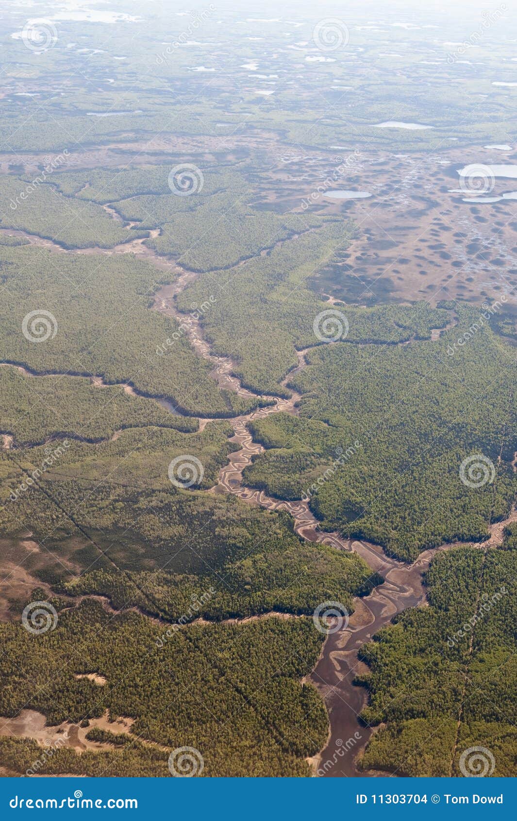 Aerial view of river stock photo. Image of tributary - 11303704
