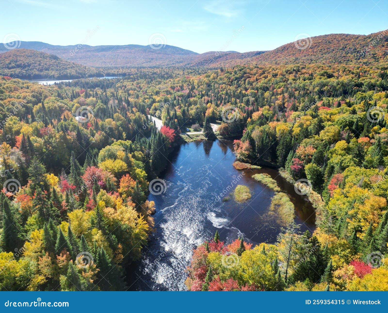 Aerial View of a River Across the Forest with Pine Trees Stock Image ...
