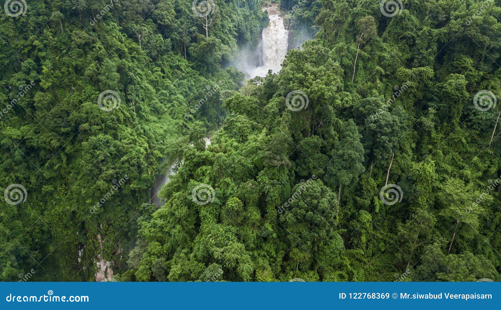 Aerial View River Flowing in the Forest, River in Tropical Rainforest ...