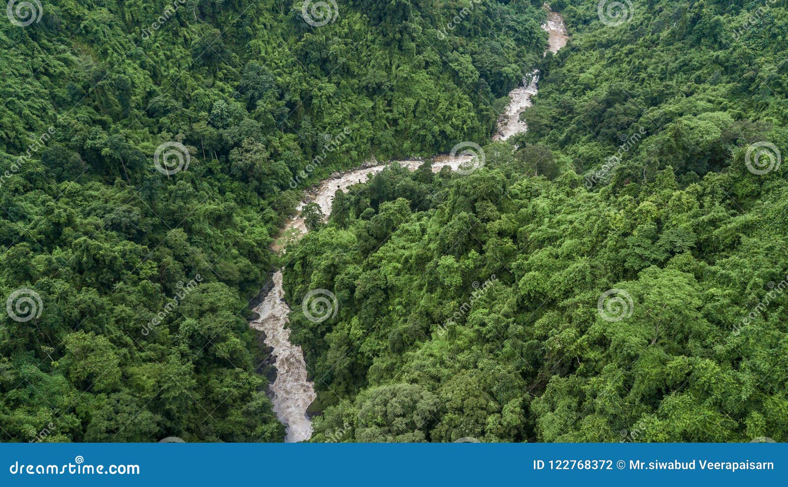 Aerial View River Flowing in the Forest, River in Tropical Rainforest ...