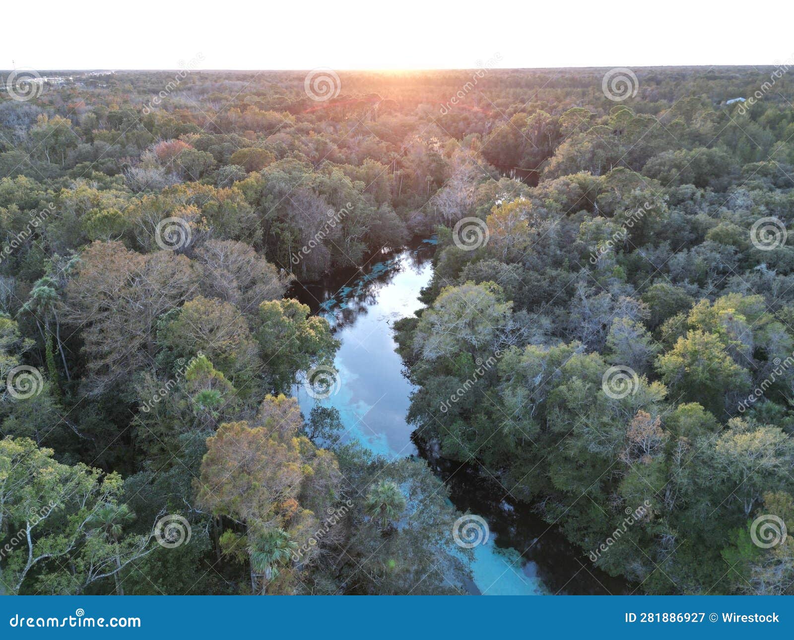 Aerial View of a River Flowing between Trees at Sunset Stock Image ...