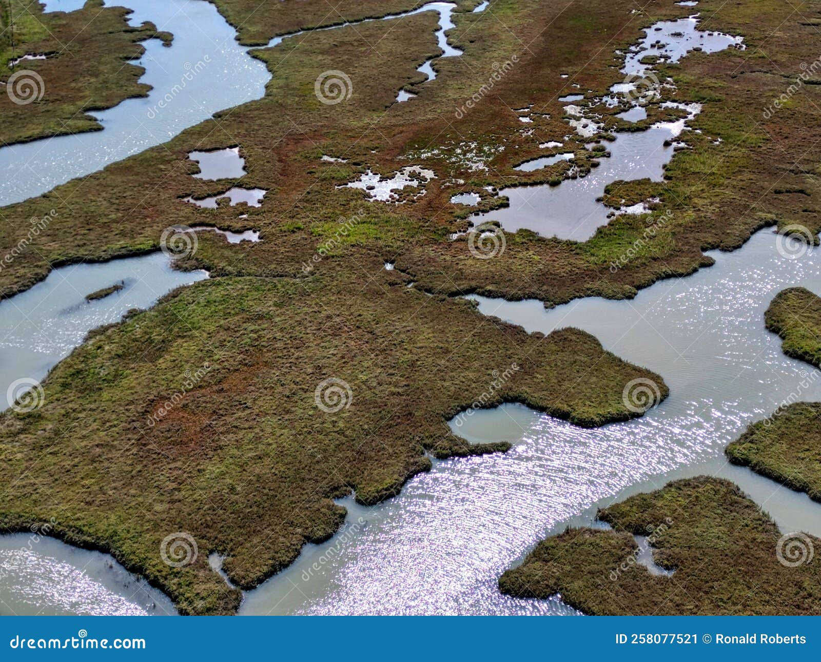 Aerial view of river marsh stock image. Image of environment - 258077521