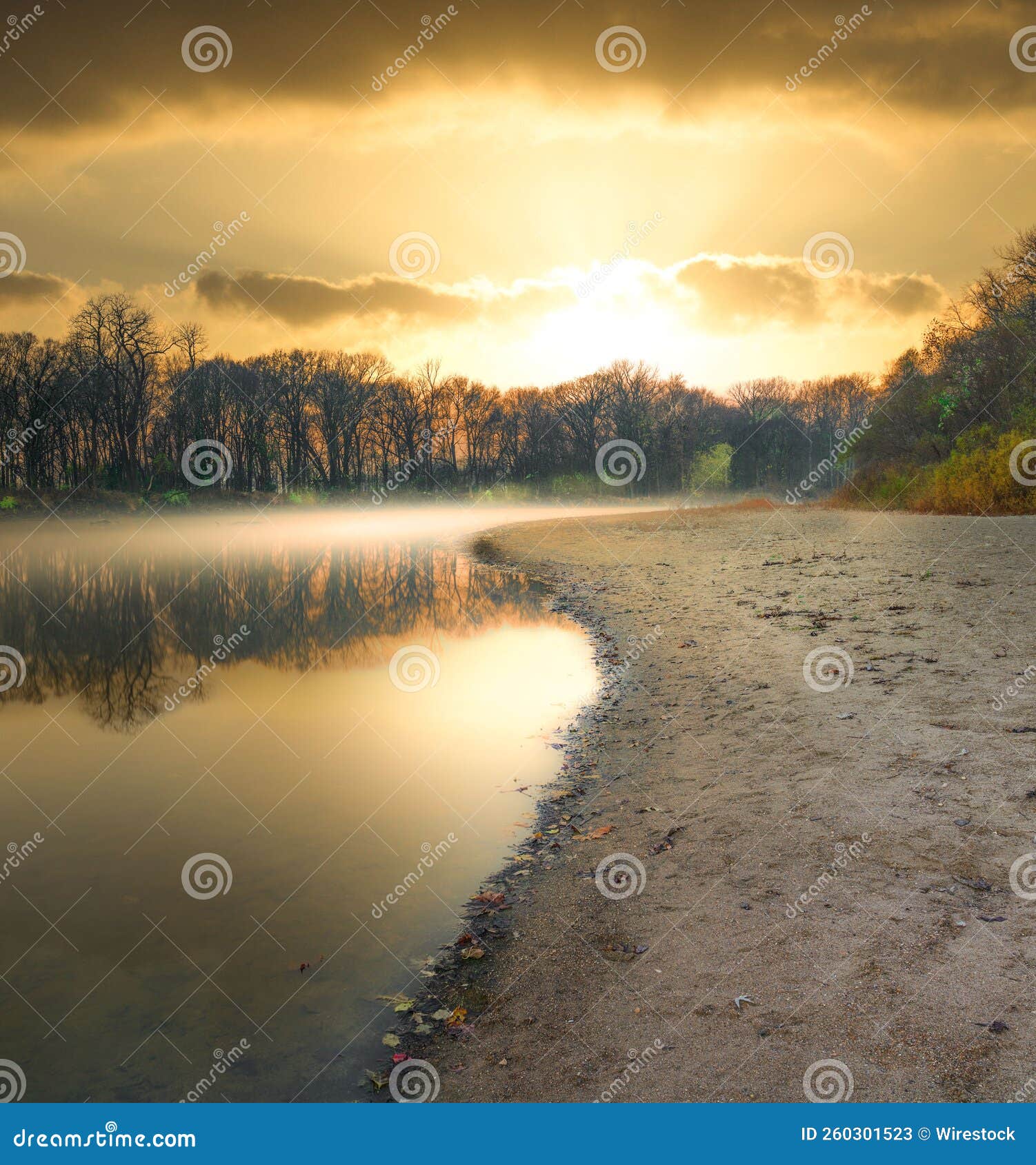 Aerial View of River Surrounded by Dense Trees during Sunset Stock ...