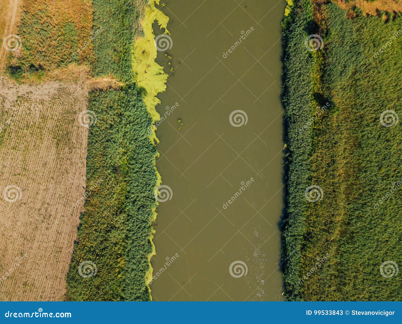 Aerial View of the River, Top View Stock Image - Image of environment ...