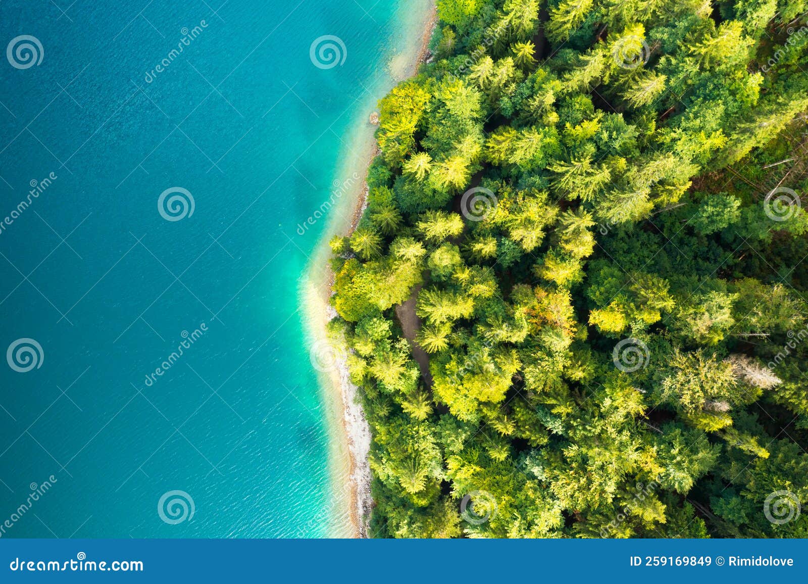 Aerial View of a River with Turquoise Water and Pine Trees on the Shore ...