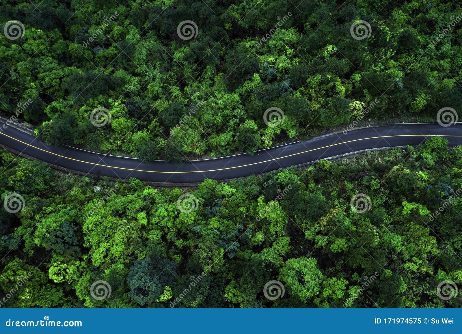 Aerial View of a Road in the Forest Stock Image - Image of destination ...