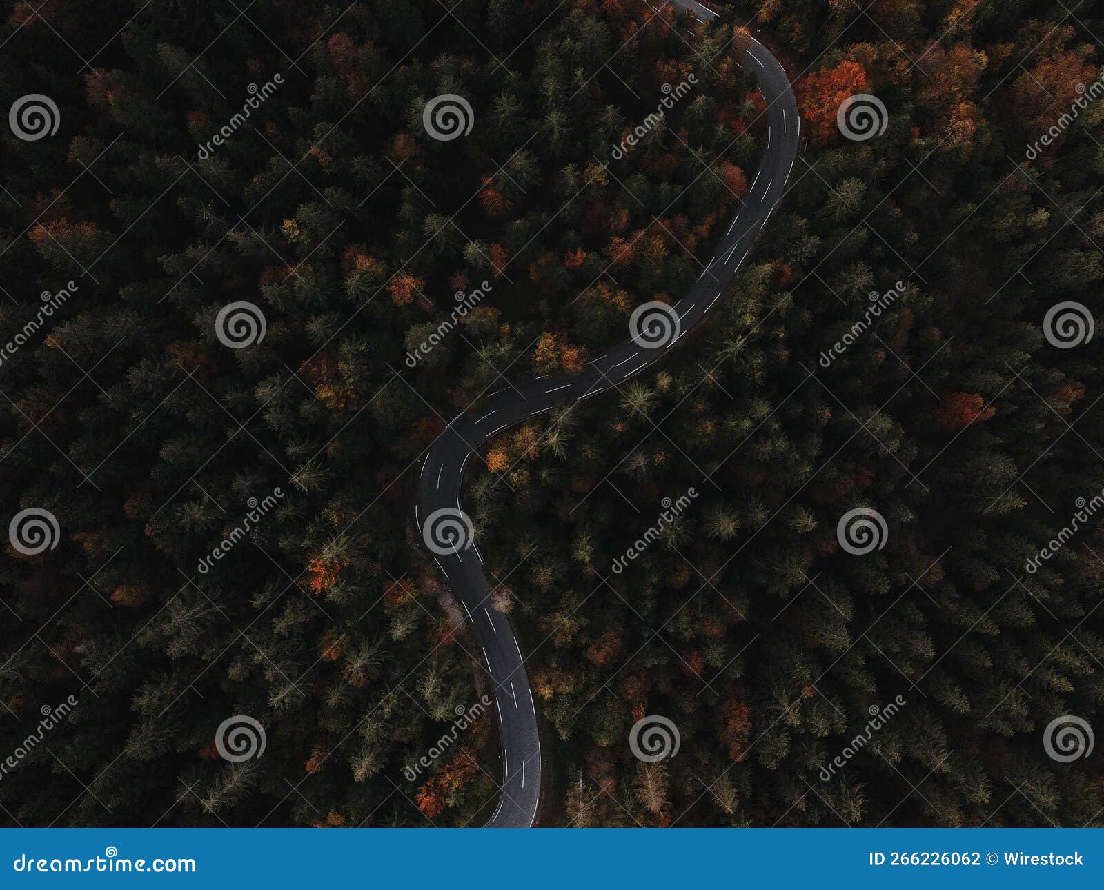 Aerial View of a Road through Forest Stock Photo - Image of landscape ...