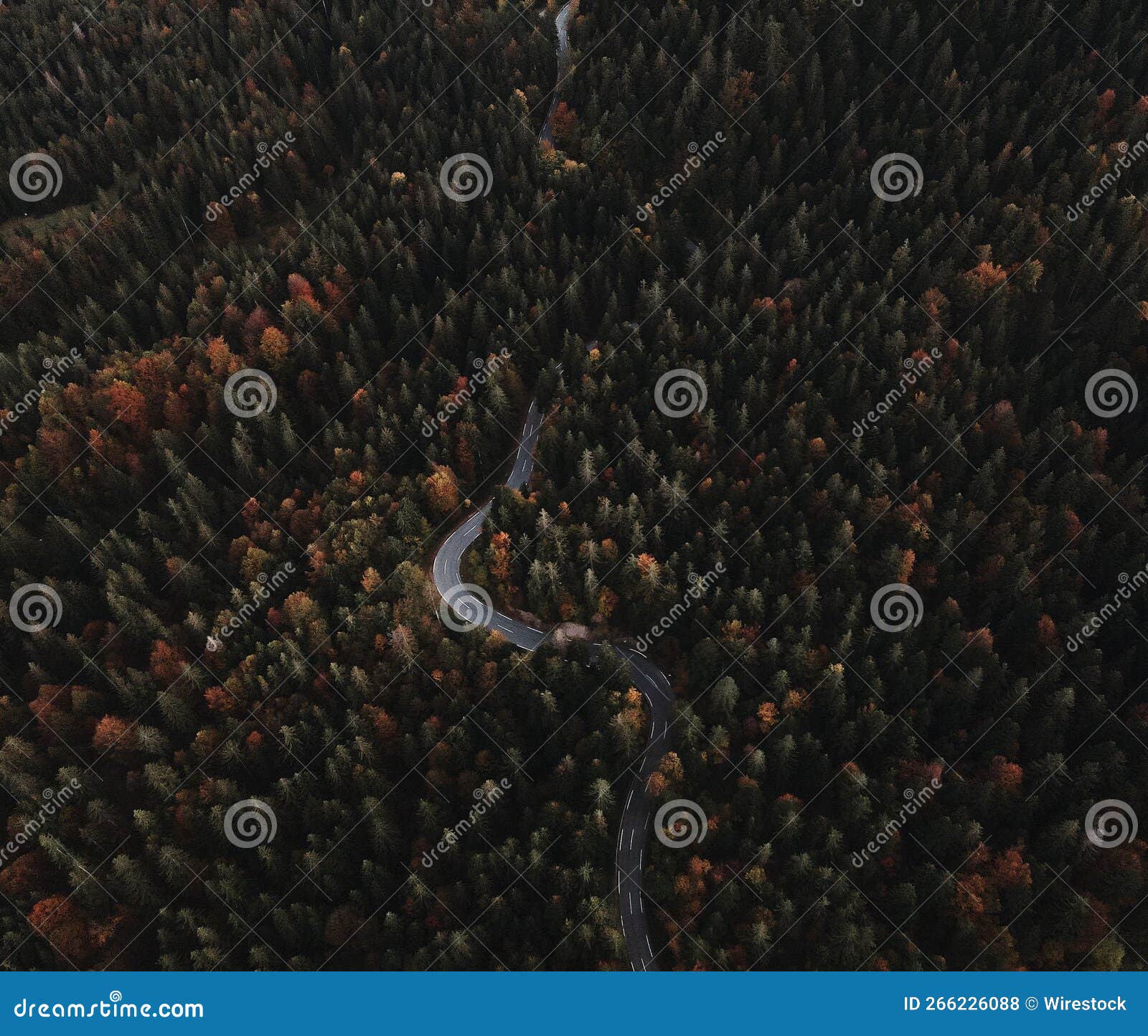 Aerial View of a Road through Forest Stock Photo - Image of road, view ...