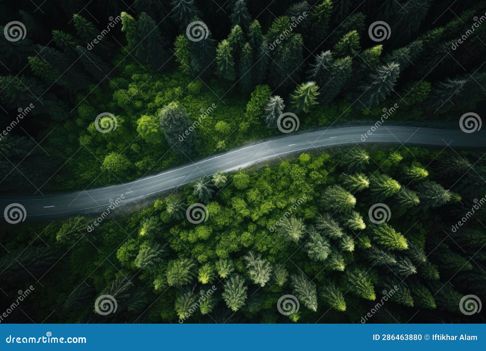 Aerial View of a Road in the Forest. 3D Rendering, Aerial View of ...