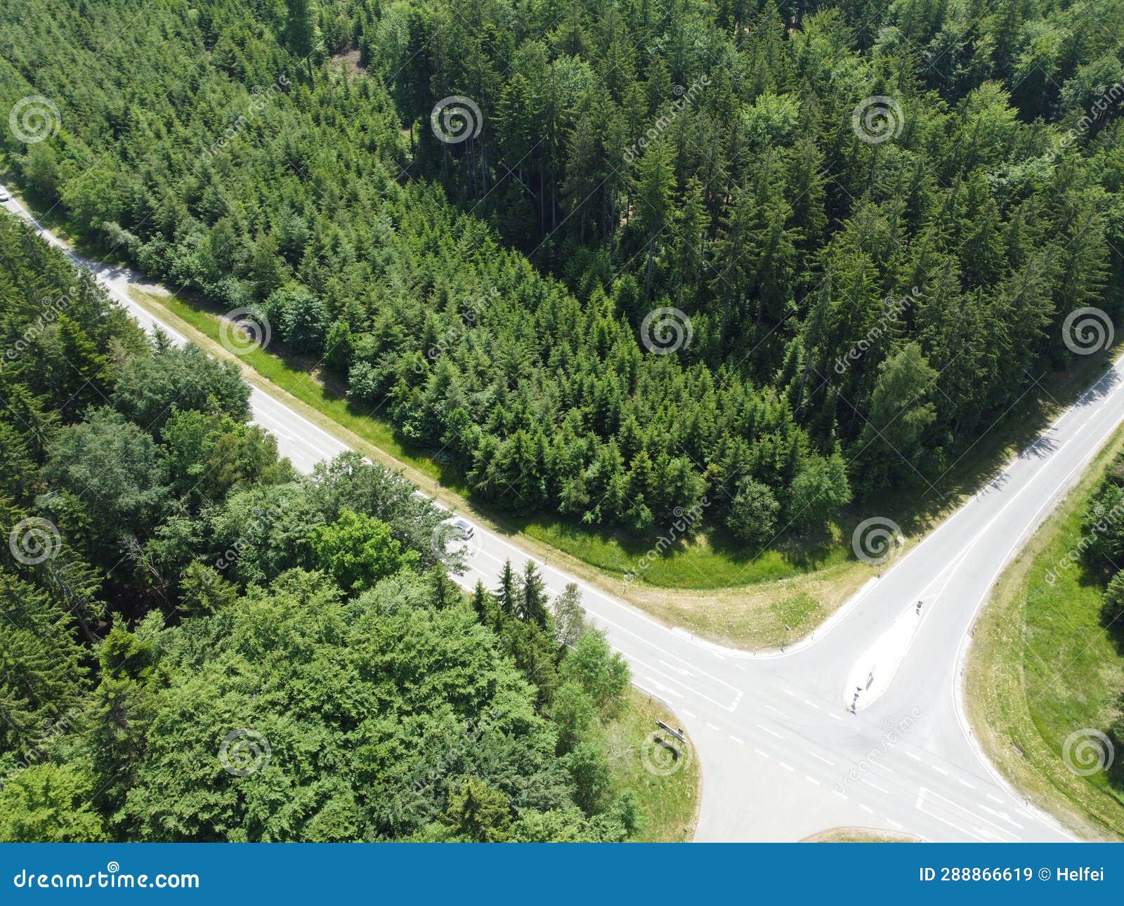 Aerial View of the Road in the Forest. Drone Photography, Stock Image ...