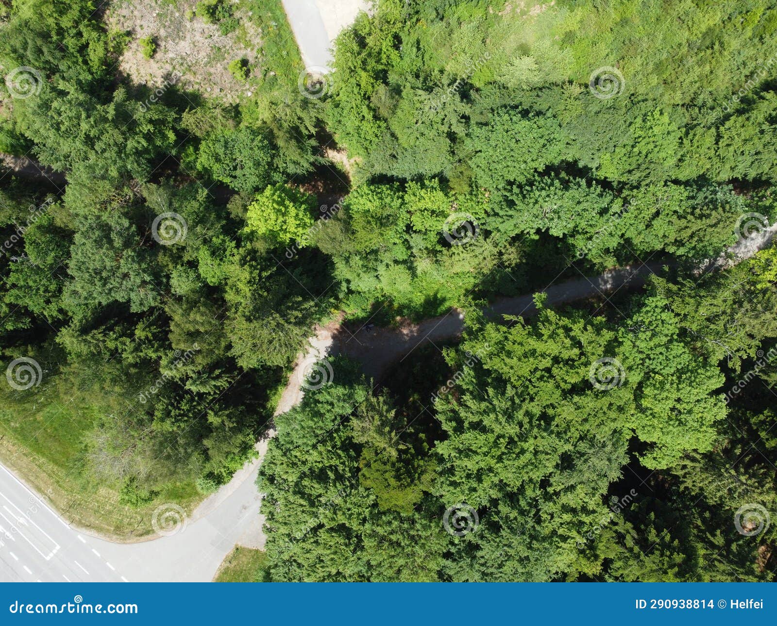 Aerial View of the Road in the Forest Stock Photo - Image of spring ...