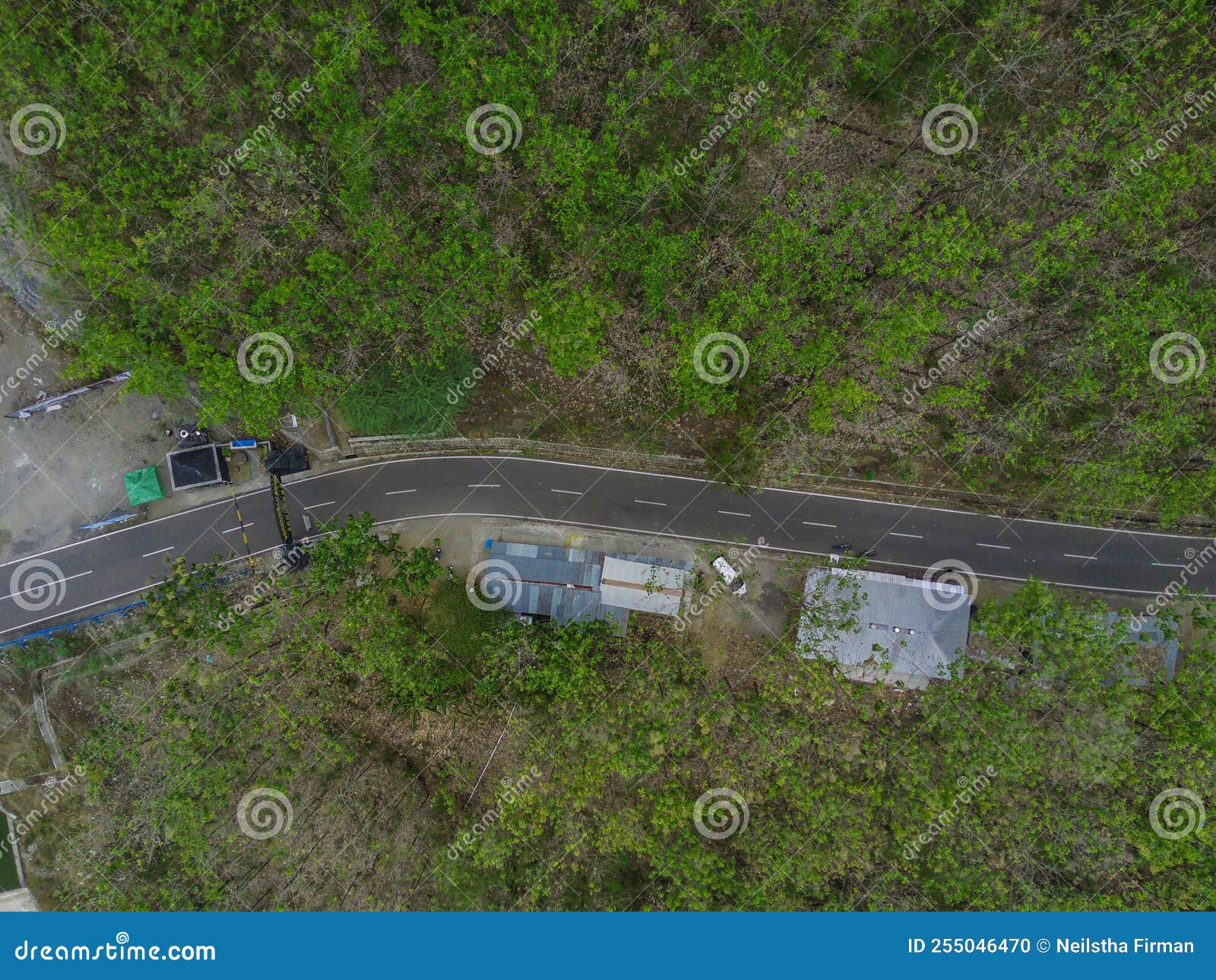 Aerial View of Road in the Forest Stock Photo - Image of curve, view ...