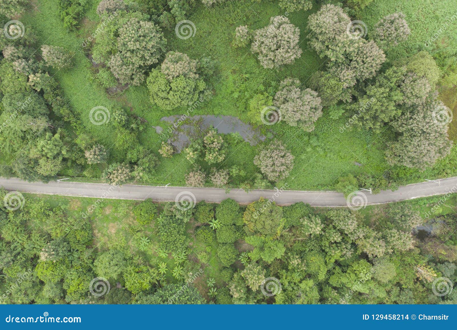 Aerial View of the Road and Forrest Stock Photo - Image of grass, road ...