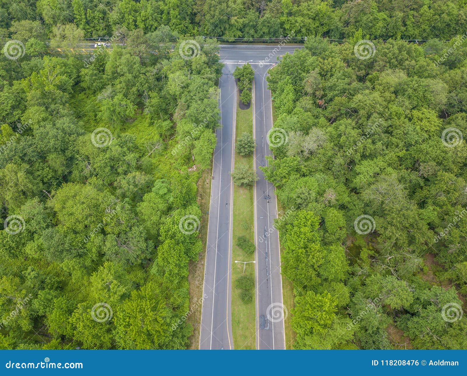Road in the forest stock photo. Image of environment - 118208476