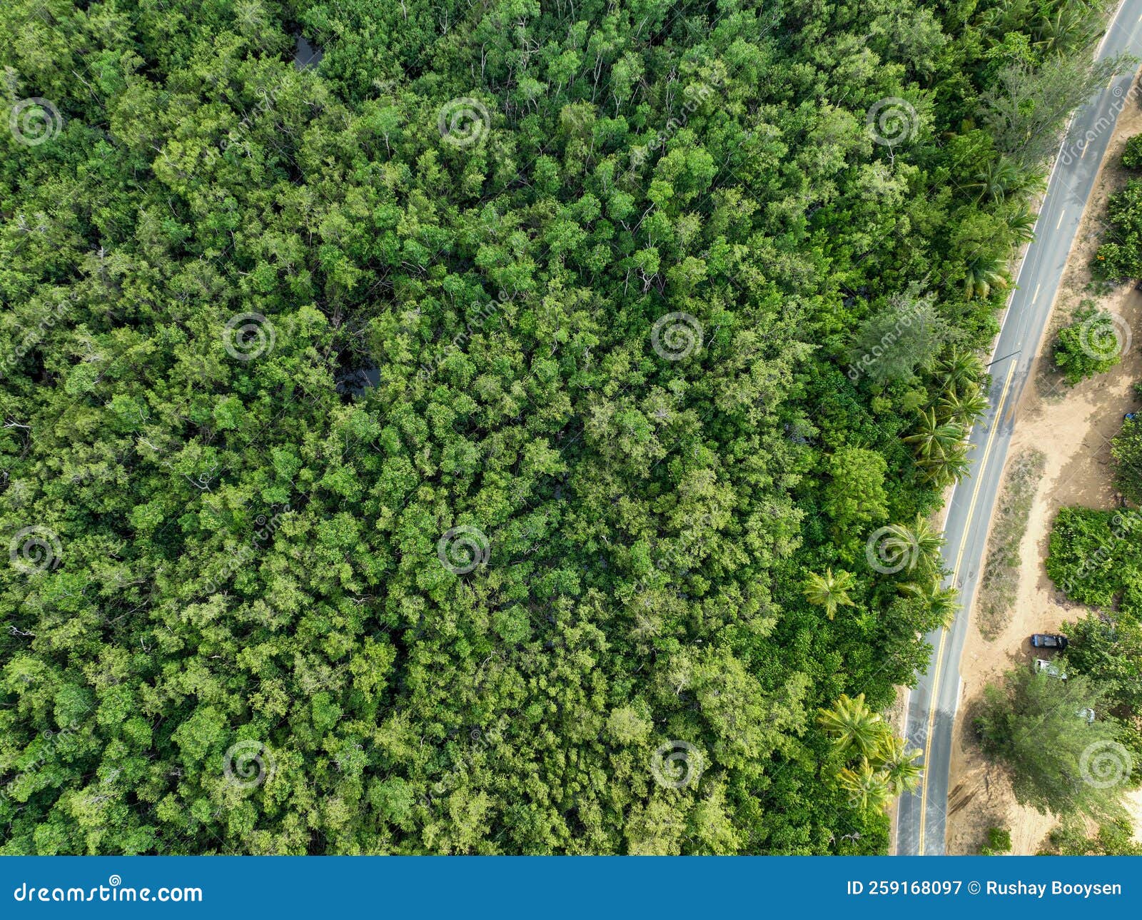 Aerial View of Road Seen from Drone Stock Image - Image of tropical ...
