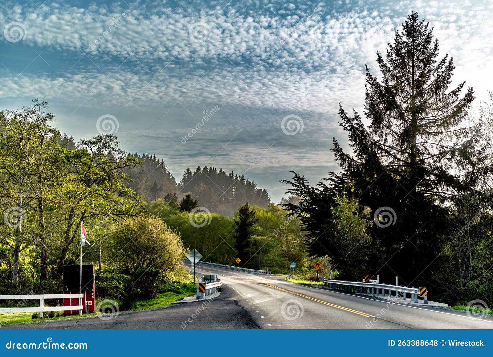 Aerial View of Road Surrounded by Dense Trees Stock Photo - Image of ...