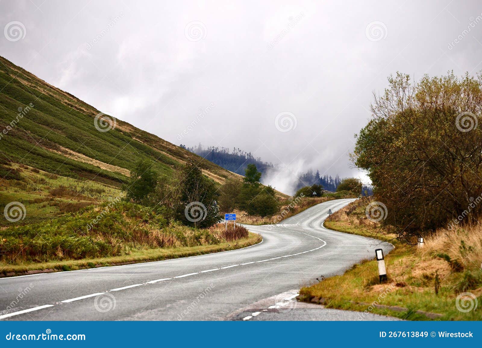 Aerial View of Road Surrounded by Trees Stock Image - Image of plant ...