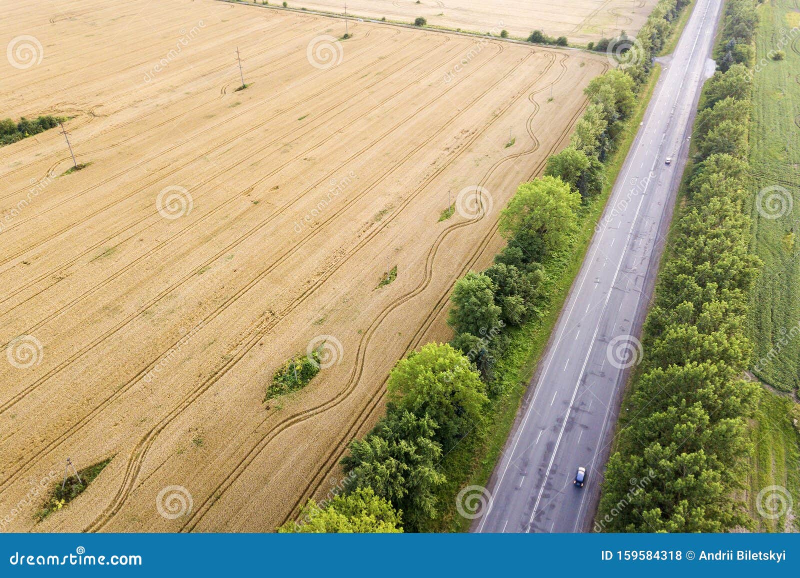 Aerial View of a Road between Yellow Wheat Fields and Green Trees Stock ...