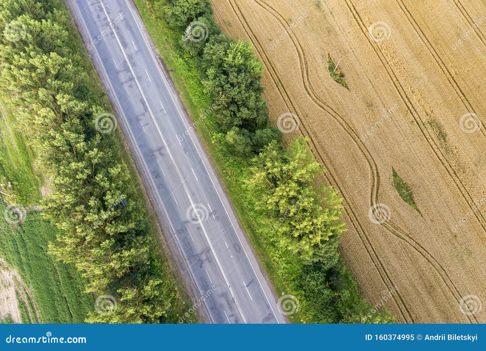Aerial View of a Road between Yellow Wheat Fields and Green Trees Stock ...