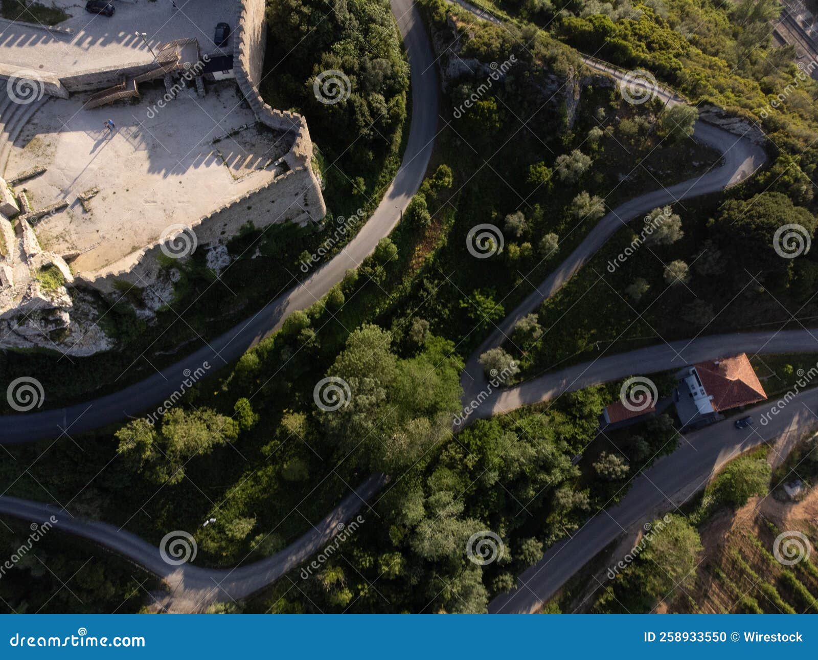 Aerial View or Roads Surrounded by Dense Trees Stock Photo - Image of ...