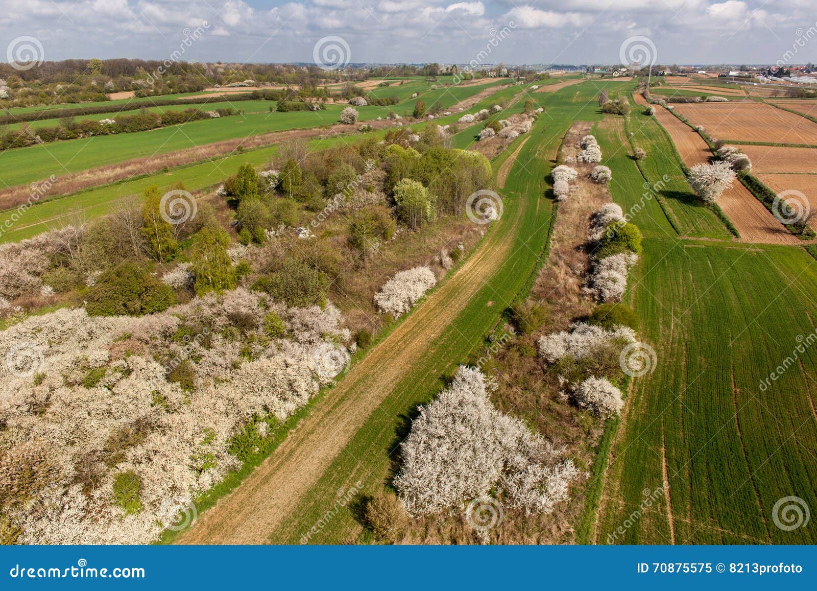 Aerial View of Rural Area, Aerial View on Yellow Fields Stock Image ...