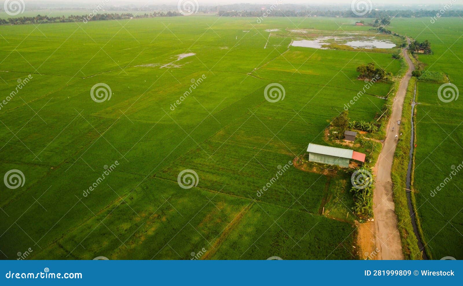 Aerial View Of A Rural Road Winding Through A Lush Green Paddy Field In