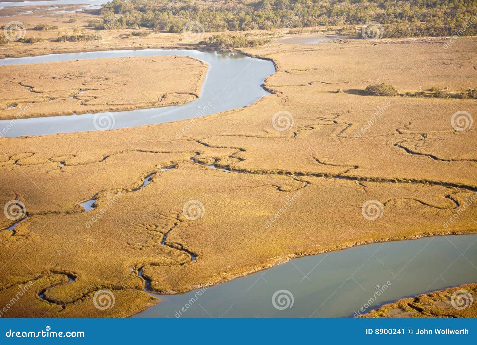 Aerial view of salt marsh stock image. Image of marsh - 8900241