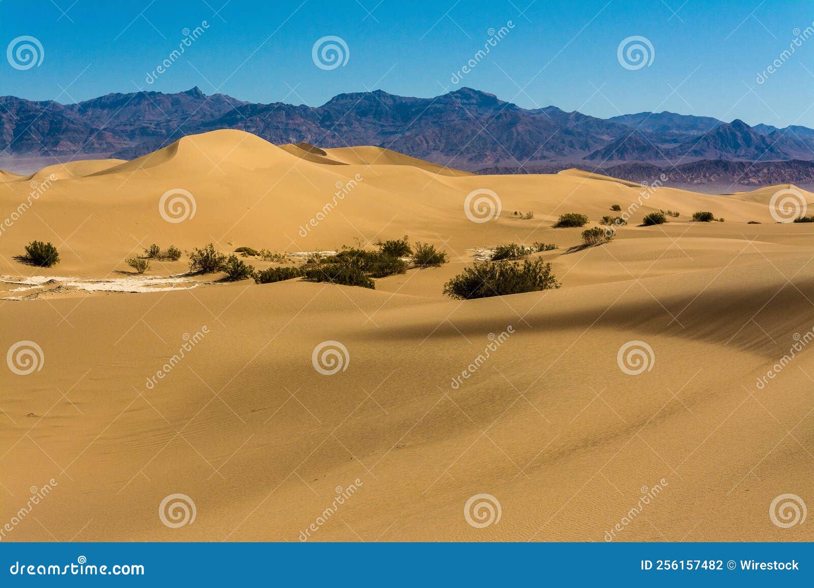 Aerial view of sand dunes stock photo. Image of desert - 256157482