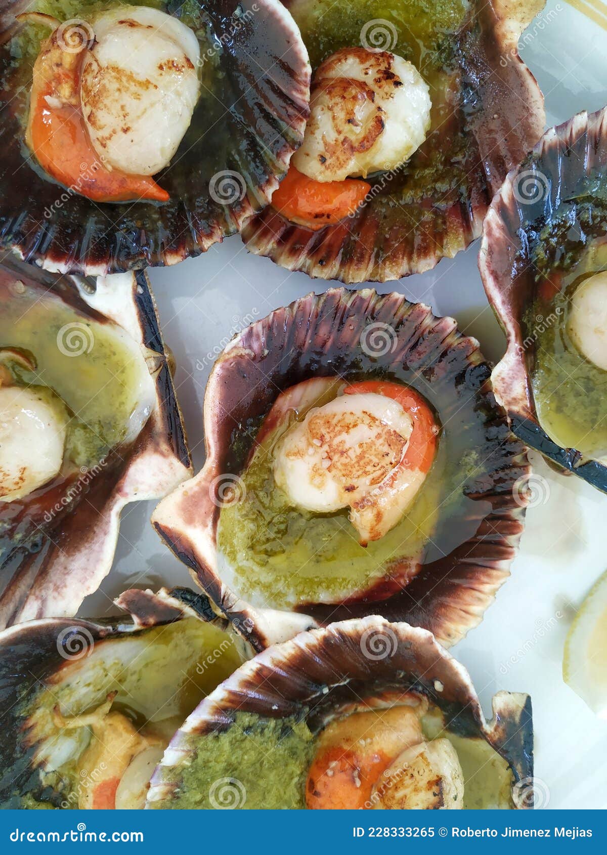 Scallops cooked on a plate stock image. Image of galicia - 228333265