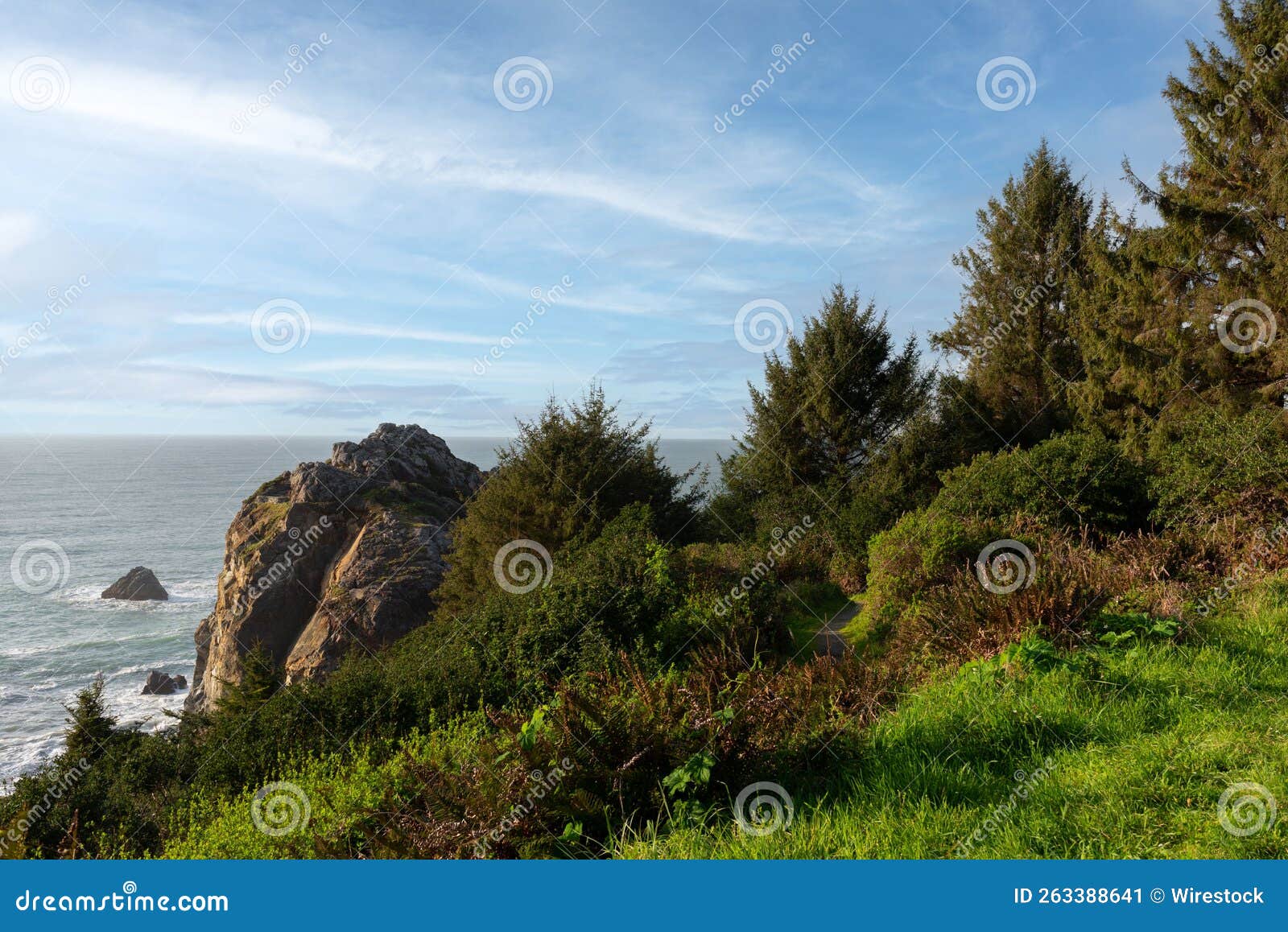 Aerial View of Sea with Greenery Beach Stock Image - Image of landscape ...