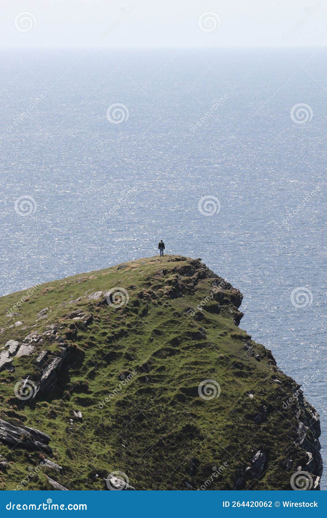 Aerial View of Sea with Greenery Beach Stock Photo - Image of aerial ...