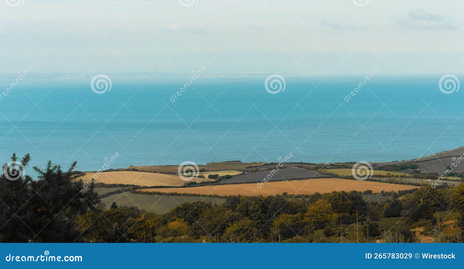 Aerial View of Sea with Greenery Beach Stock Image - Image of ocean ...