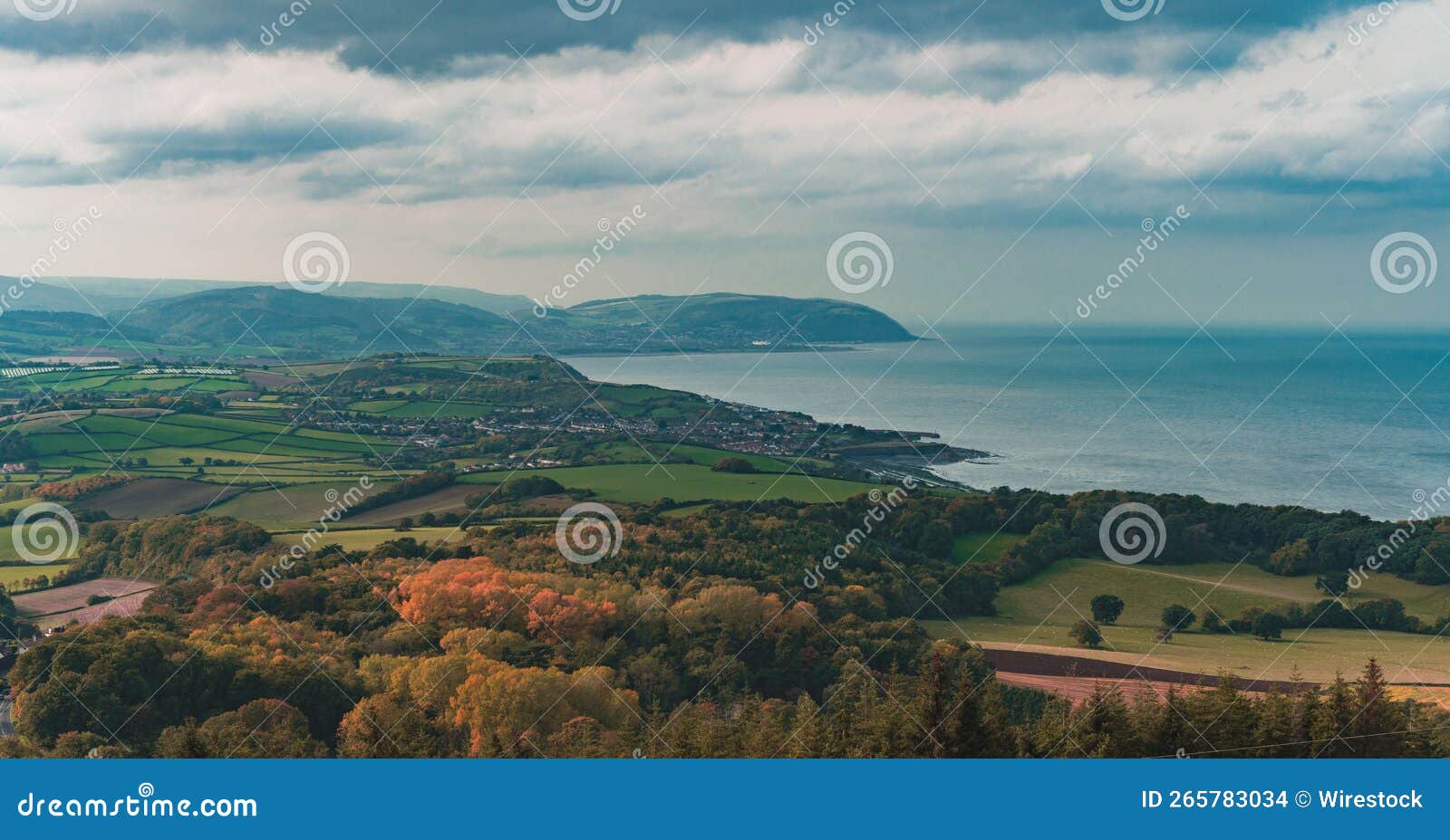 Aerial View of Sea with Greenery Beach Stock Photo - Image of clear ...