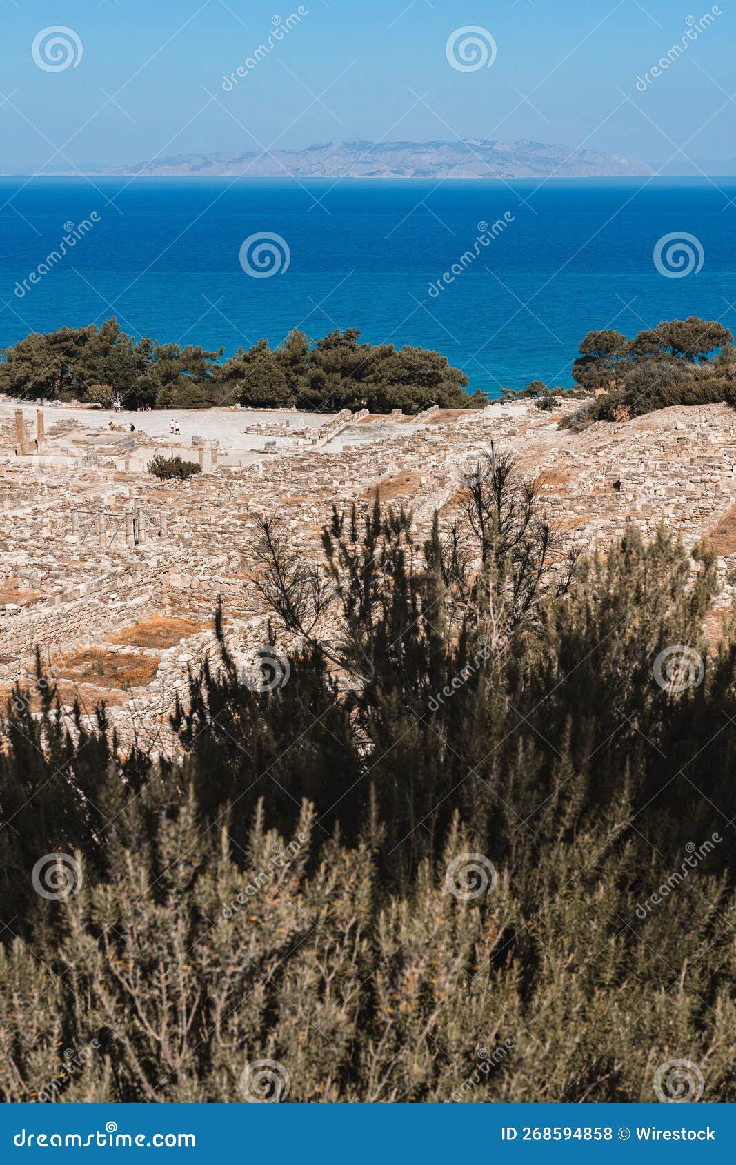 Aerial View of Sea with Greenery Beach Stock Photo - Image of blossom ...