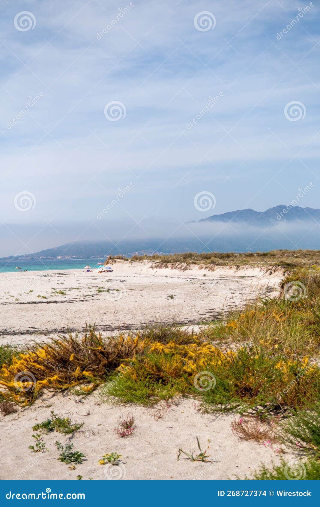 Aerial View of Sea with Greenery Beach Stock Photo - Image of clear ...