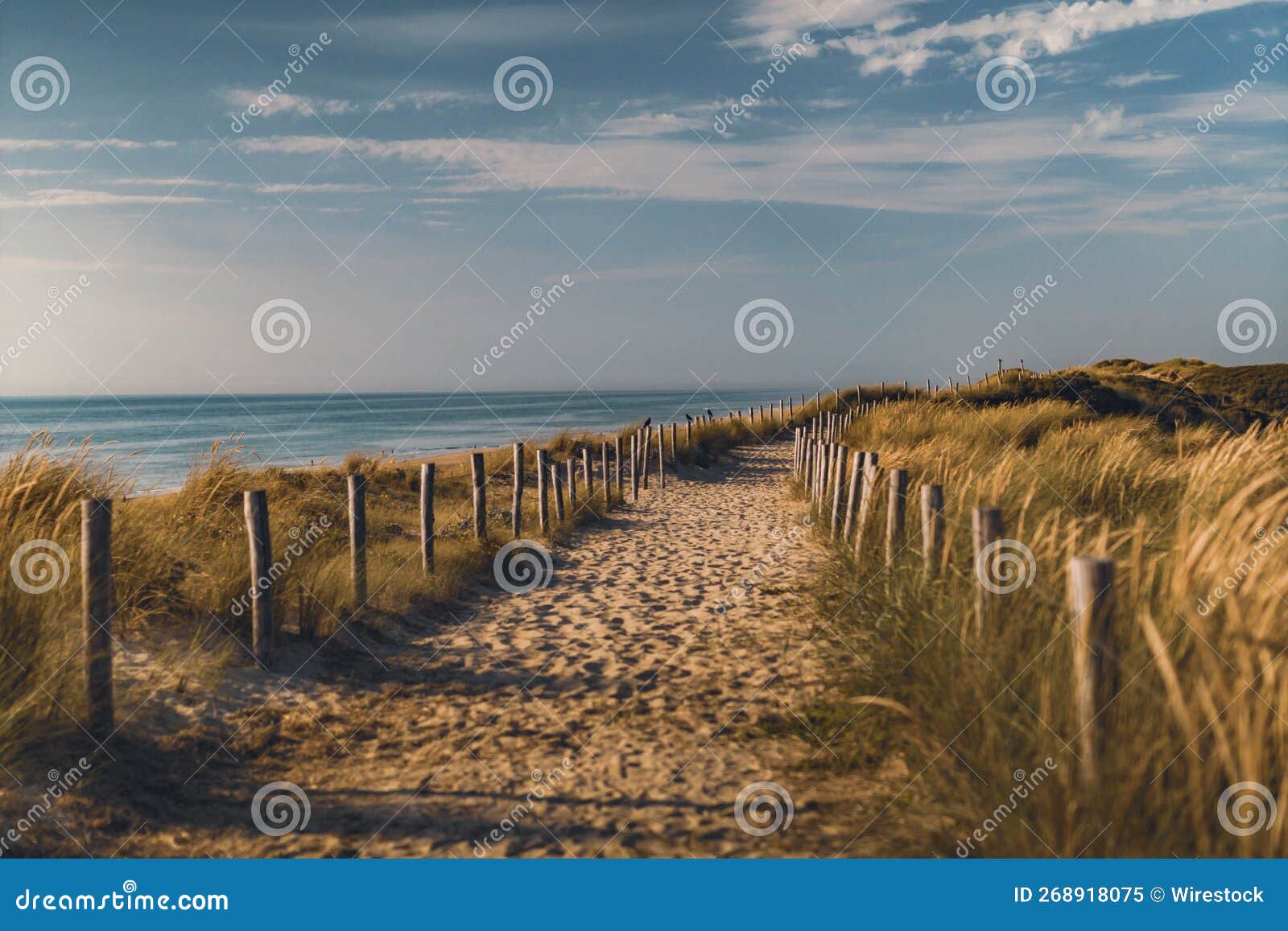 Aerial View of Sea with Greenery Beach Stock Image - Image of beach ...