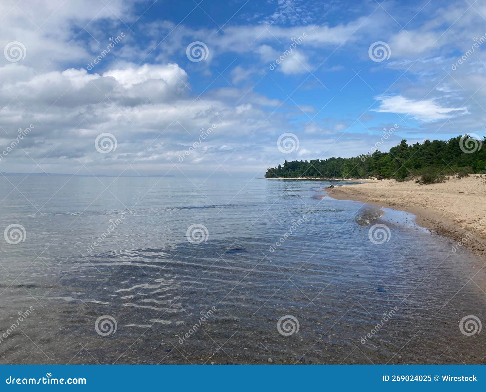 Aerial View of Sea with Greenery Beach Stock Image - Image of waves ...