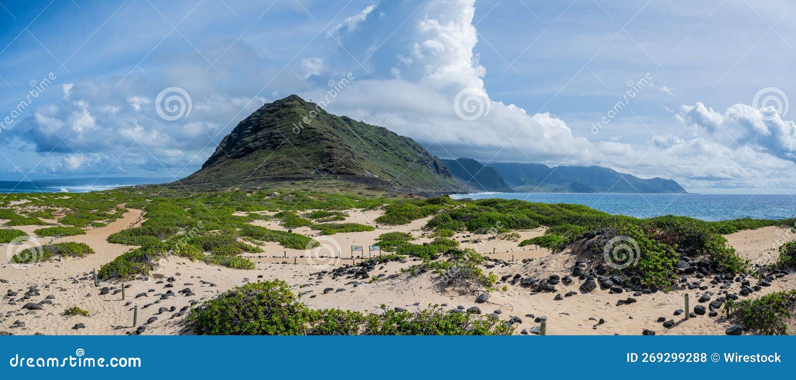 Aerial View of Sea with Greenery Beach Stock Photo - Image of scenic ...