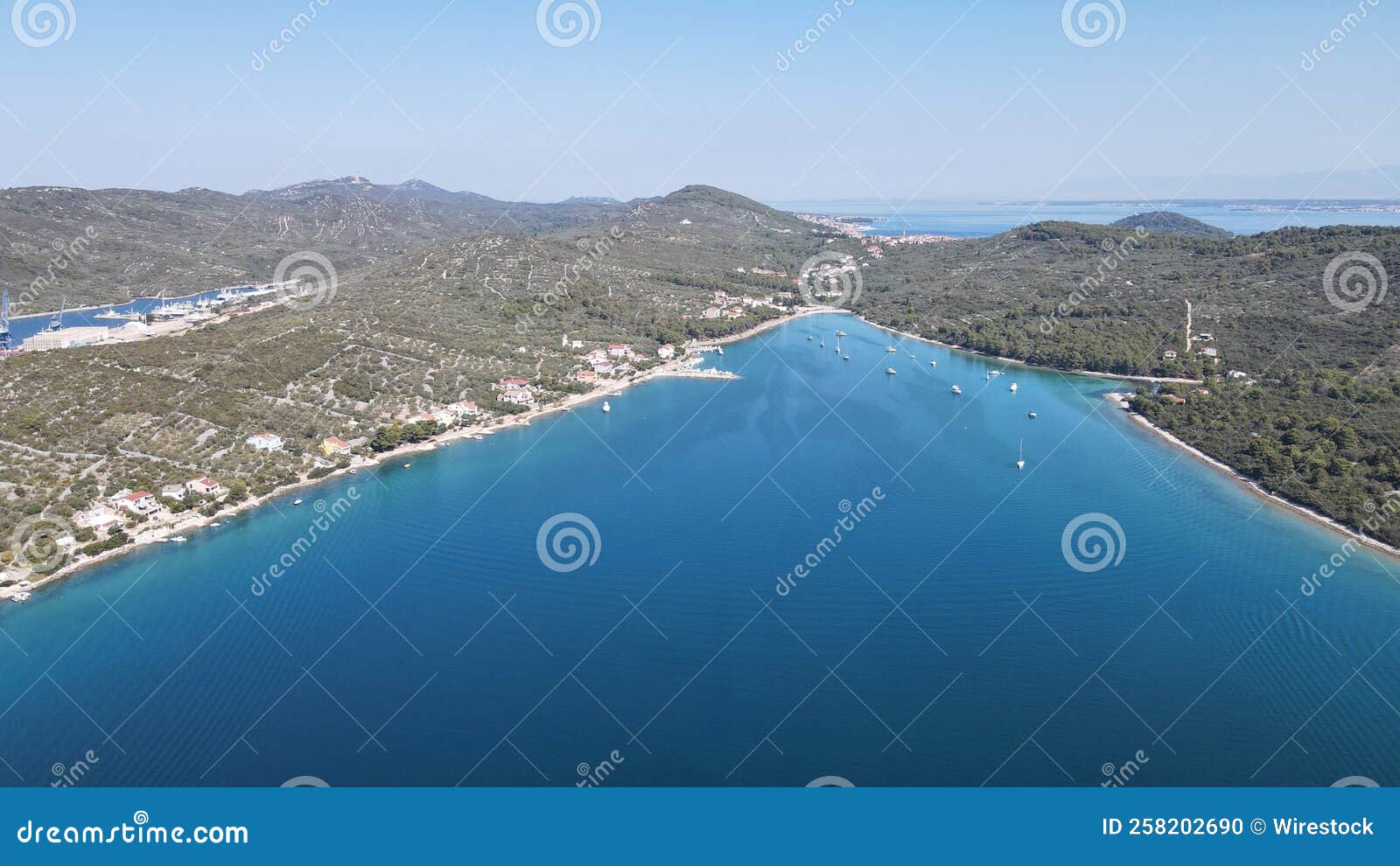 Aerial View of Sea with Island Surrounded by Dense Growing Trees Stock ...