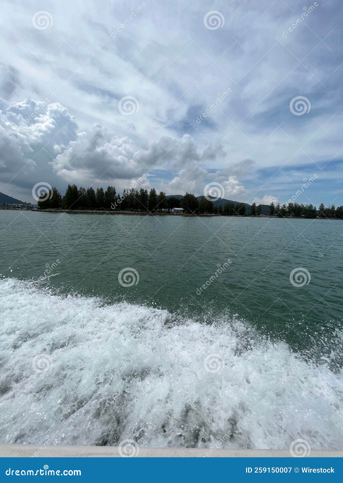 Aerial View of Sea Surrounded by Dense Trees Stock Image - Image of ...