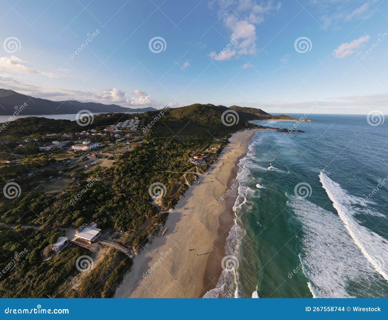 Aerial View of Sea Waves Breaking Greenery Beach Stock Photo - Image of ...