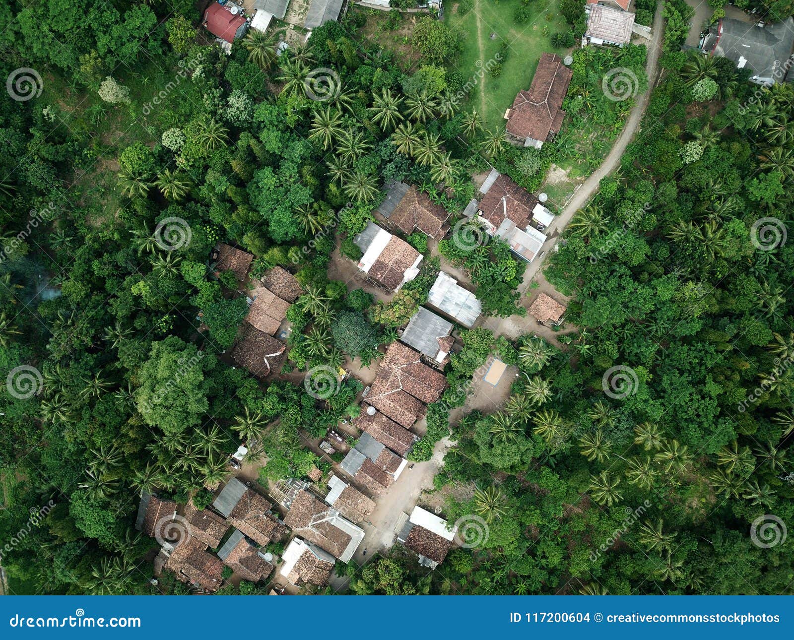 Aerial View Of Sheds Picture. Image: 117200604