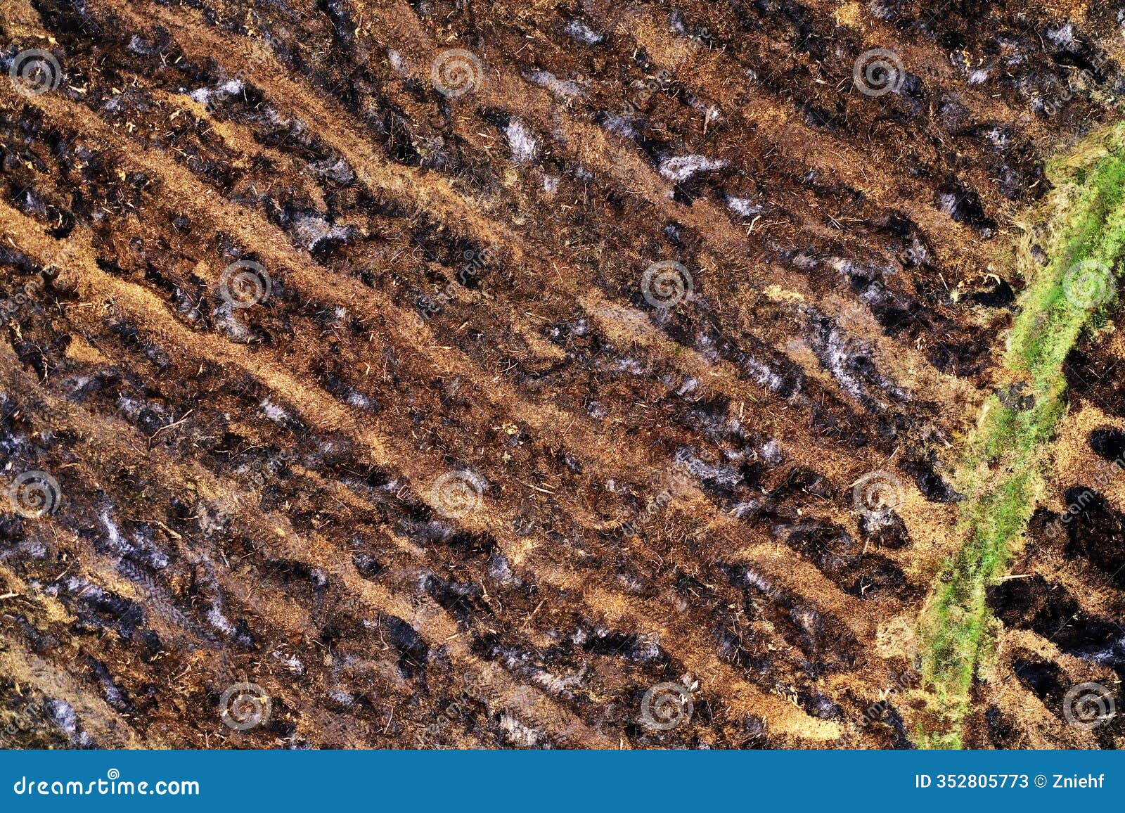 Aerial View Showing Deforestation Progress with Tree Line Stock Image ...