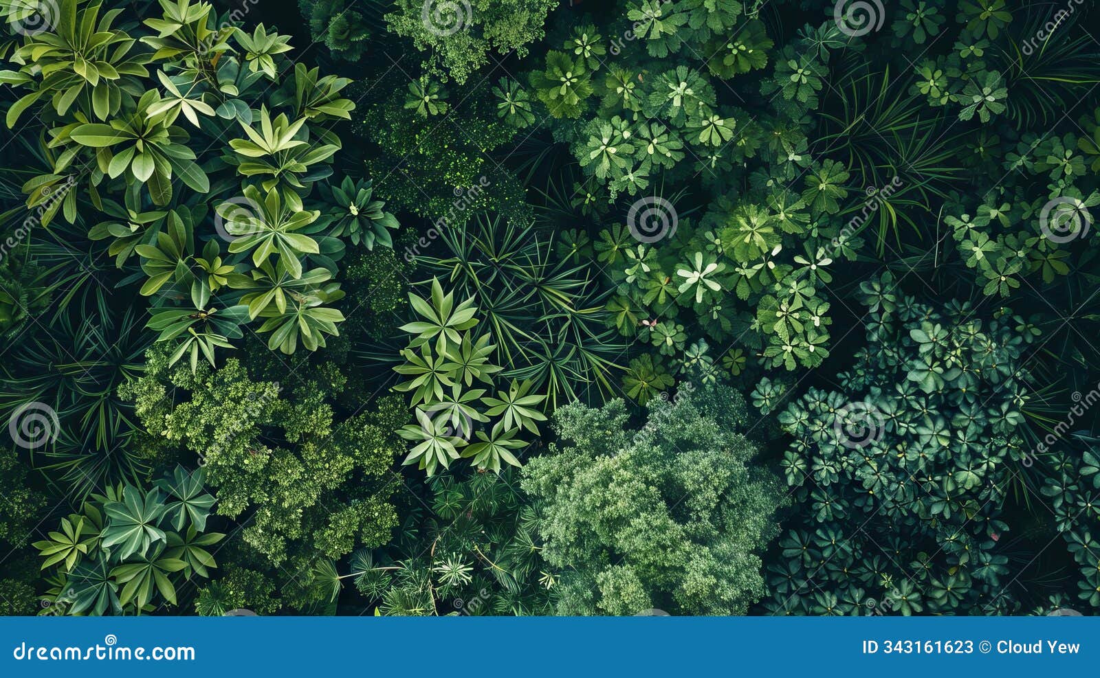 Aerial View of Simple Greenery Design Stock Illustration - Illustration ...
