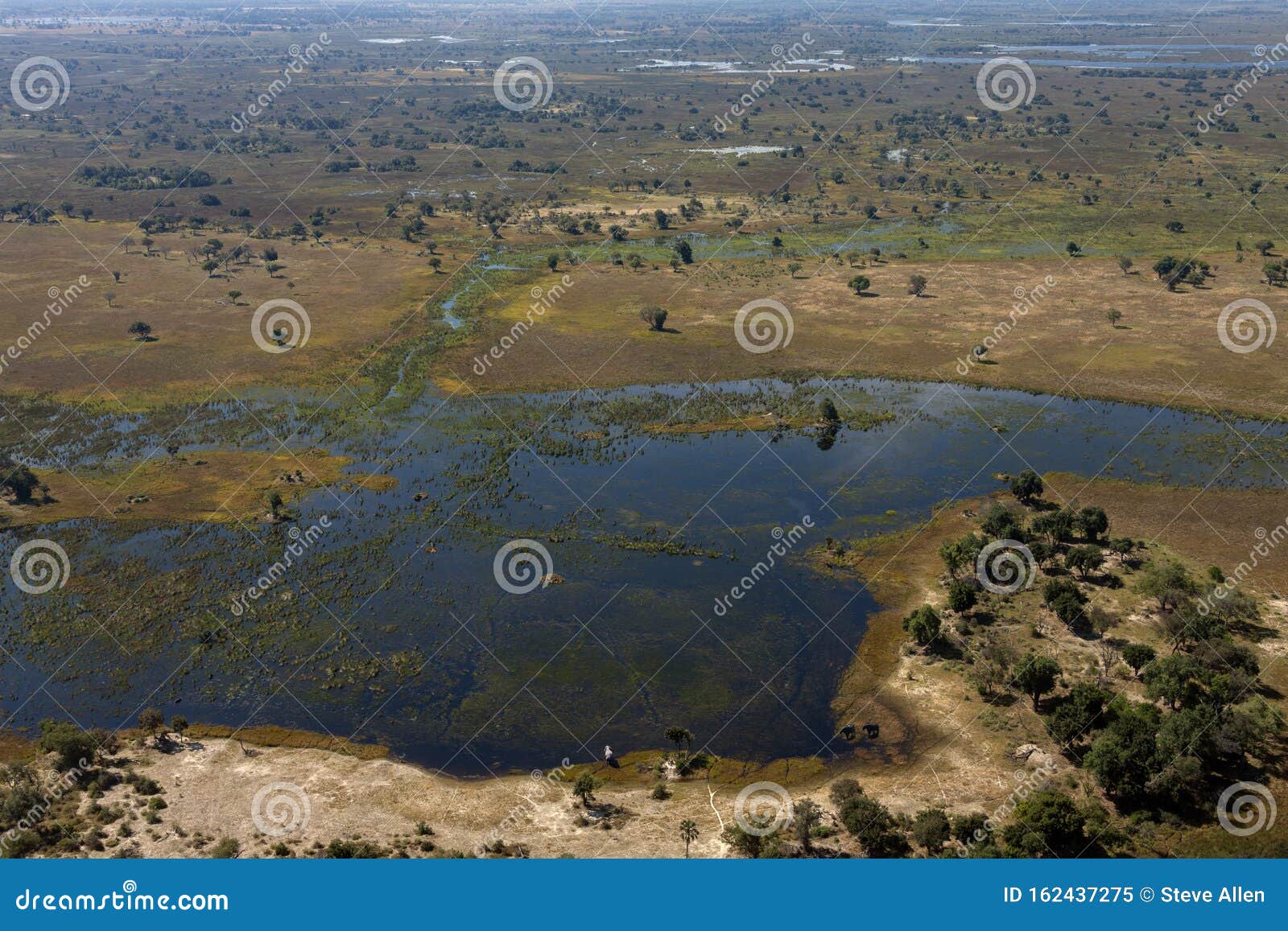 Aerial View - Okavango Delta - Botswana - Africa Stock Image - Image of ... Aerial View - Okavango Delta - Botswana - Africa Stock Image - Image of ...